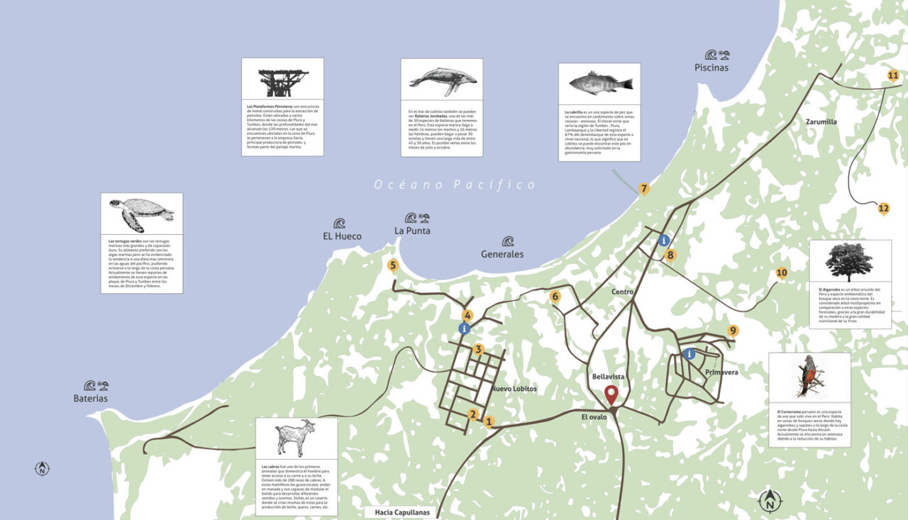 Hola - Lobitos desde su Gente